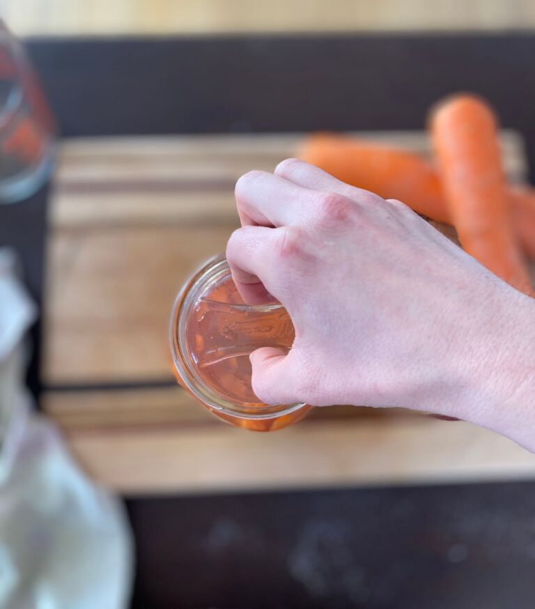 Fermented Carrot Recipe